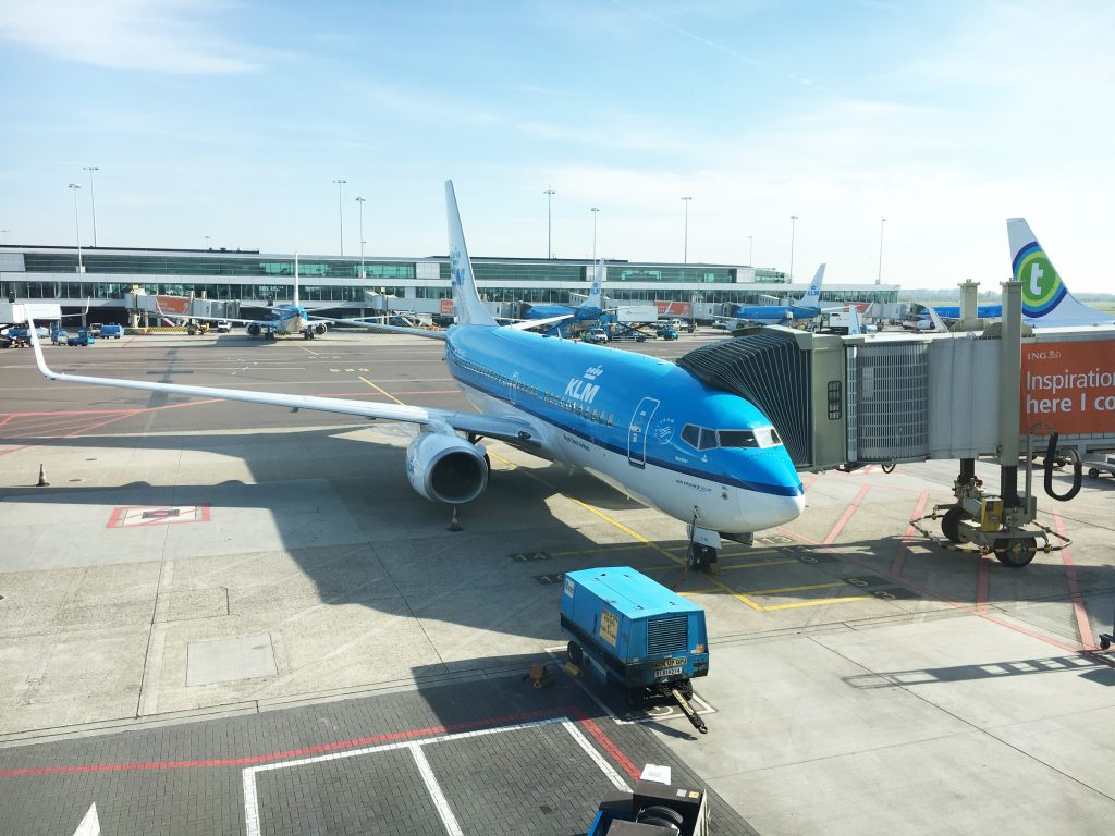 How to survive a long layover at the airport! 5 tips that will help you.